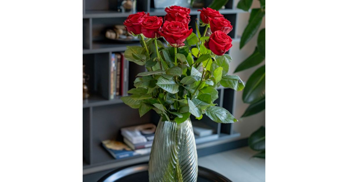 Rozes Red Naomi (10GAB|60CM)
